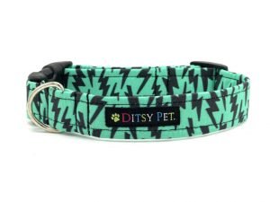 Bolt Dog Collar – Totally Greyhound